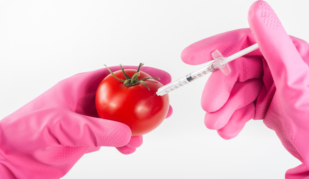 Holistic Health & Living | Why Do Some GM Crops Contain the Epicyte Gene?